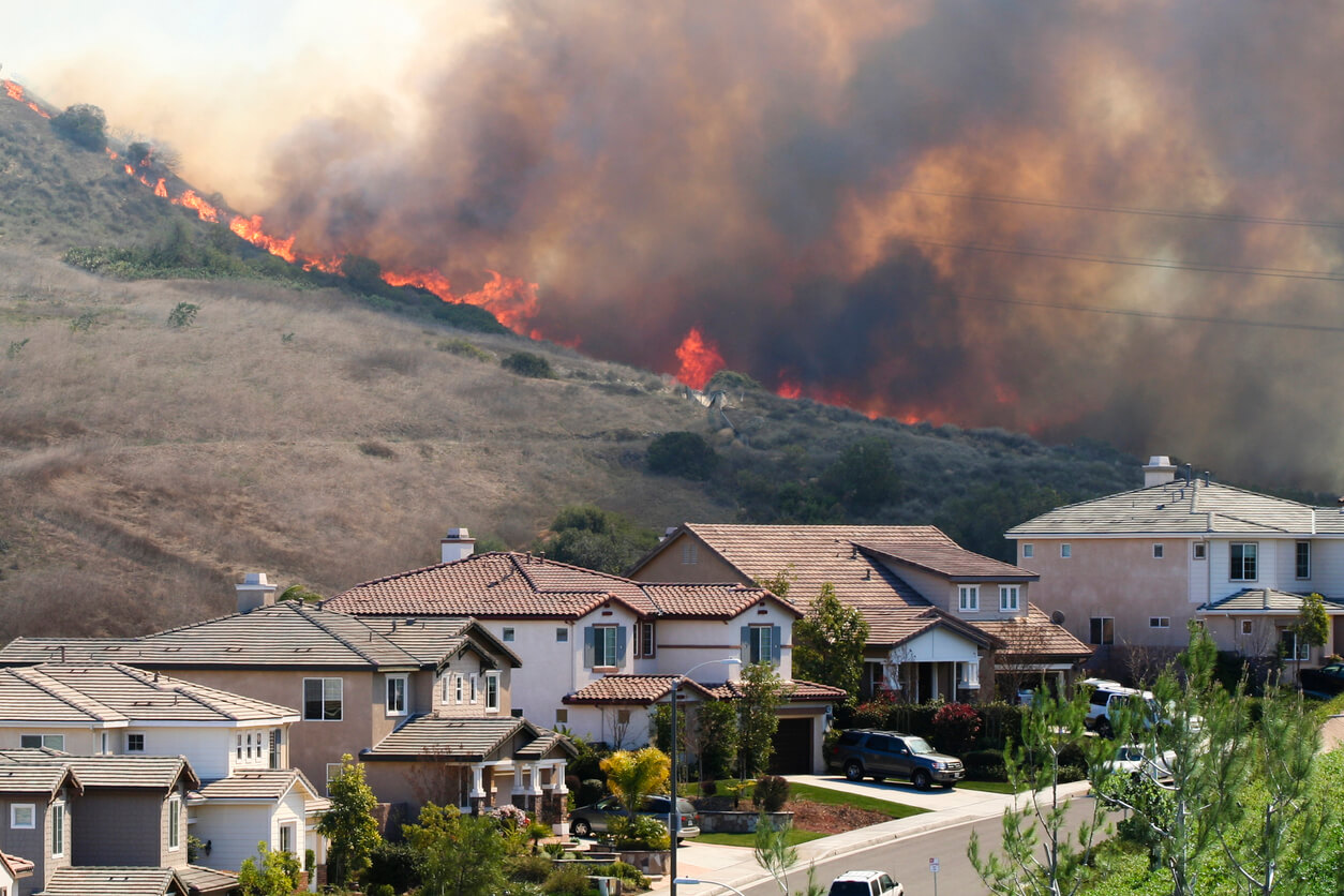 Ensure Your Estate Plan Covers Wildfire Losses